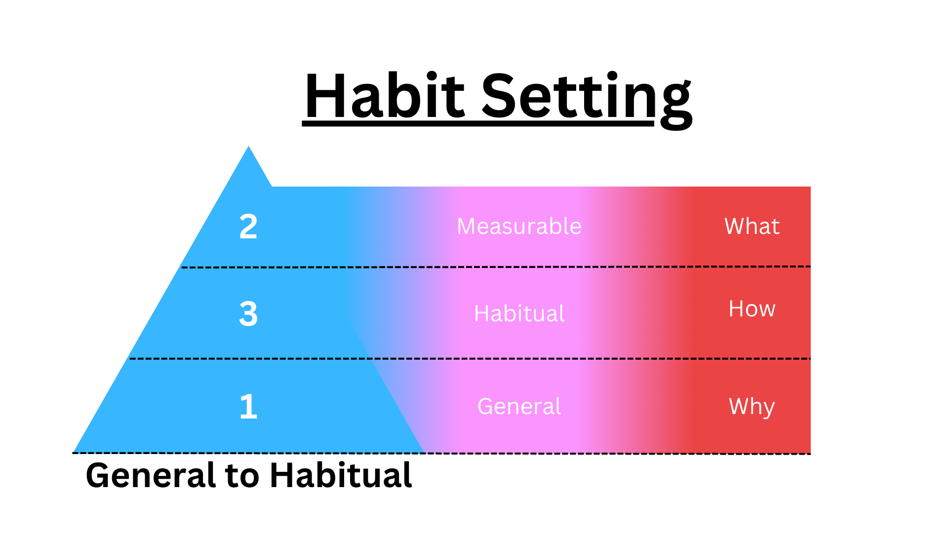 New Year Habit Setting – Taylor Ruby's